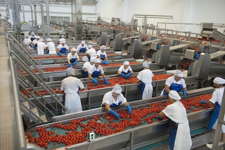 Princes: The importance of fair price in the supply chain - Tomato News