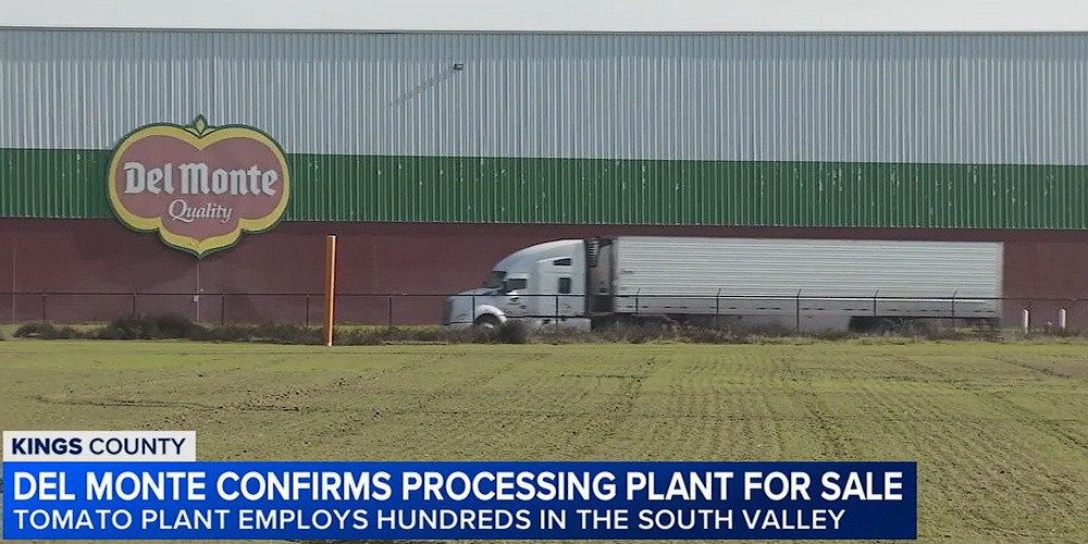 Morning Star Tomatoes buys Hanford Del Monte plant - Tomato News