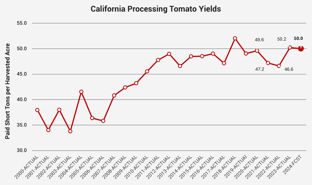 Morning Star Tomato Bites, September 10, 2024 - Tomato News